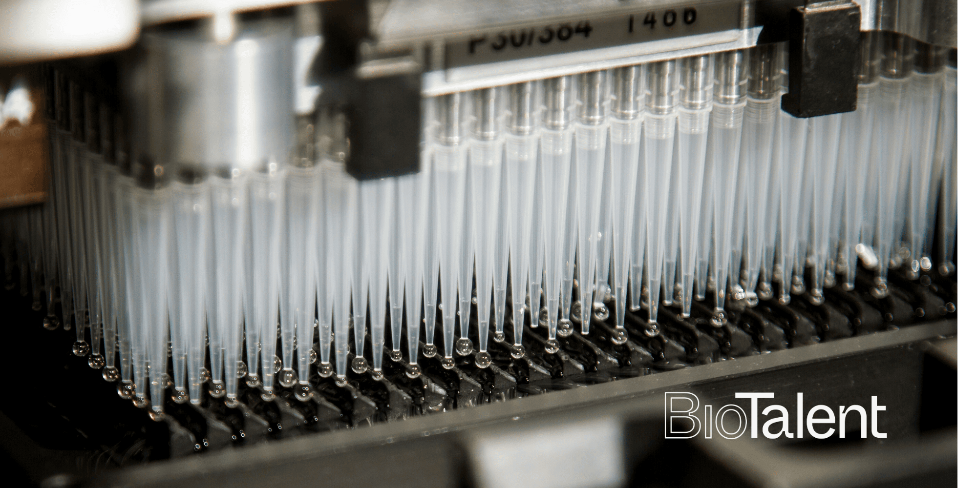 From batch to bioreactor: How Industry 4.0 is reinventing · BioTalent